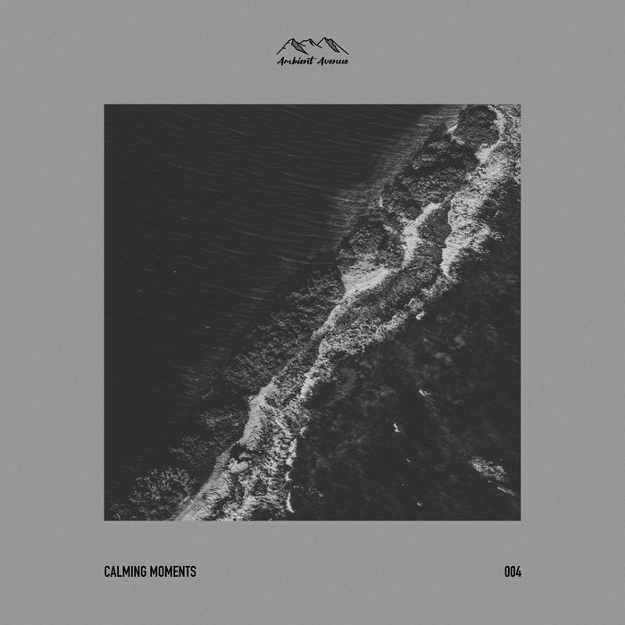 Calming Moments 004 | Various Artists | Ambient Avenue
