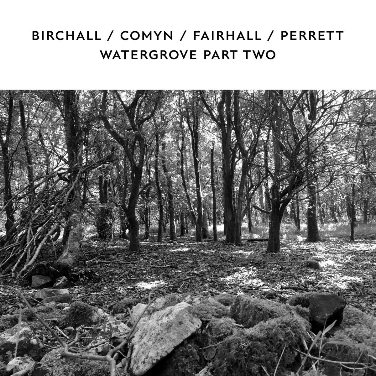Watergrove Part Two | David Birchall / Francis Comyn / Adam Fairhall ...