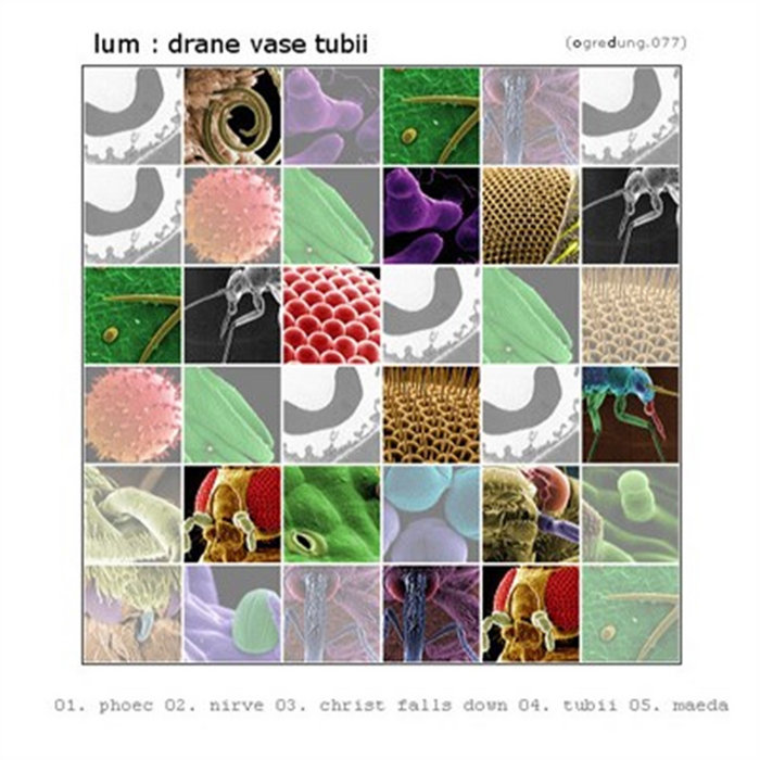 Drane Vase Tubii | Lum