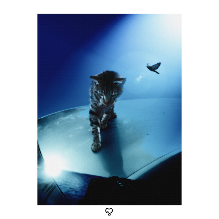Earth and Air | Isshellir