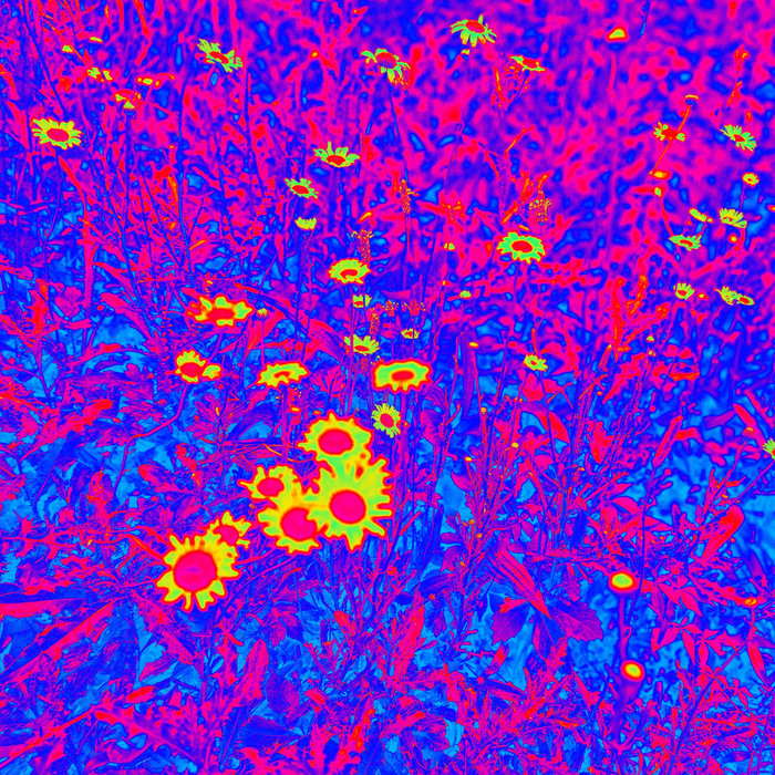 odyssey incandescent tales of the past | David Beardsley