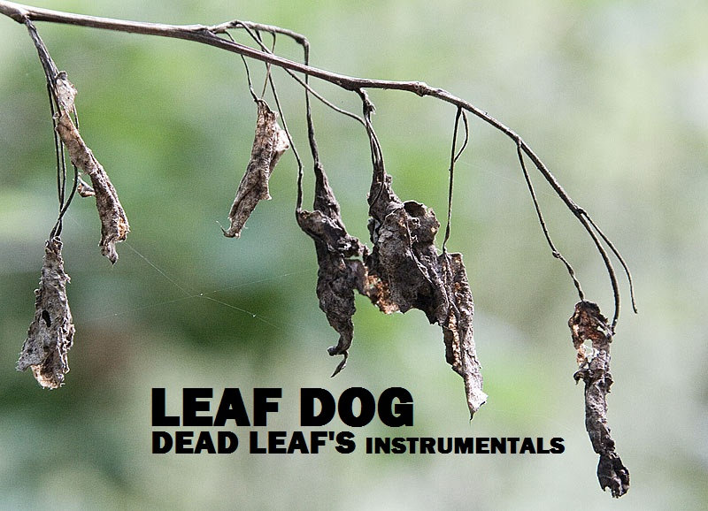 Dead Leaf's (Instrumentals) | Leaf Dog