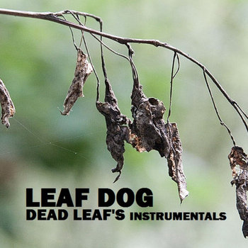 Music | Leaf Dog