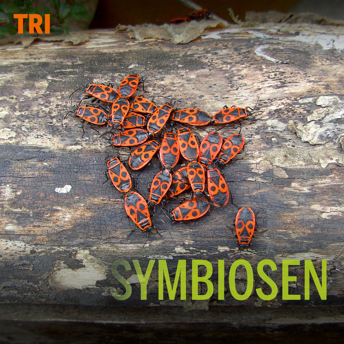 SYMBIOSEN | The Research Institute | The Research Institute (TRI)