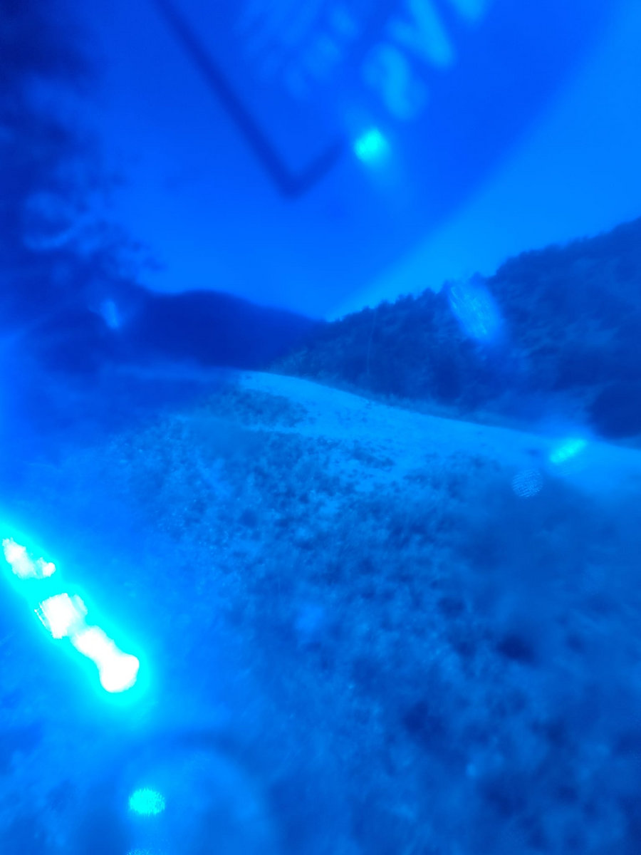 Backwards (Again) | Spitegeist