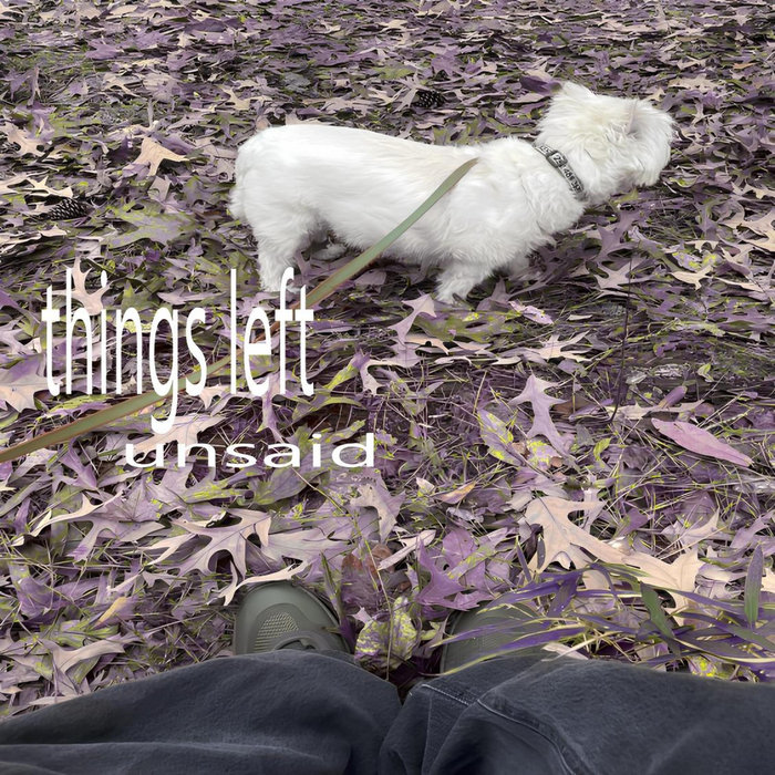 things left unsaid | badog