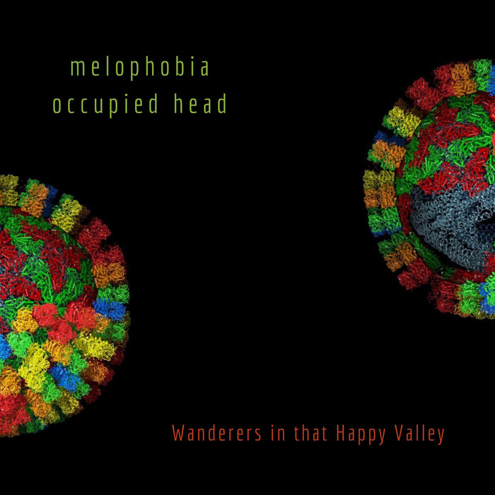 Wanderers in that Happy Valley | melophobia & occupied head | melophobia