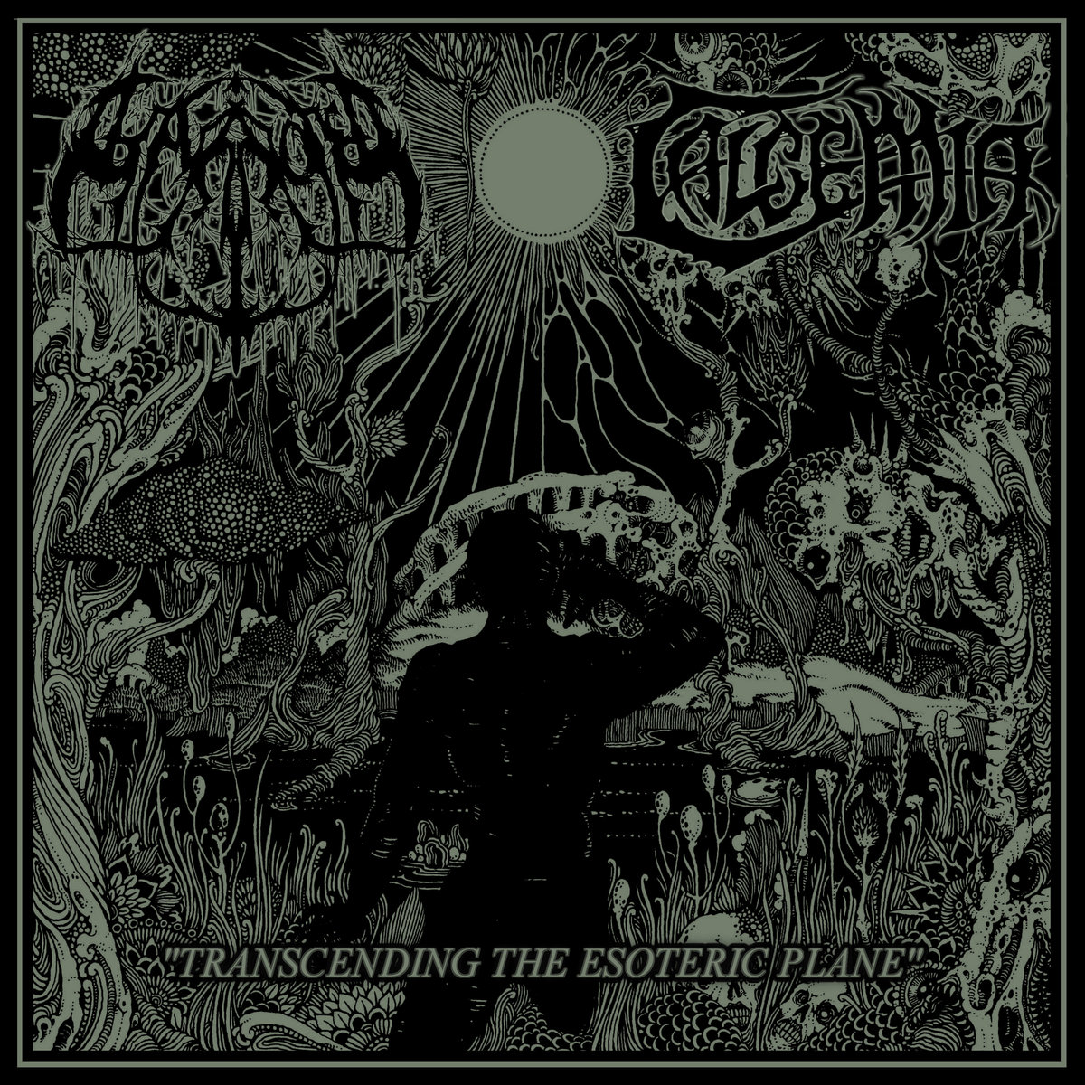 Transcending The Esoteric Plane | Calcemia