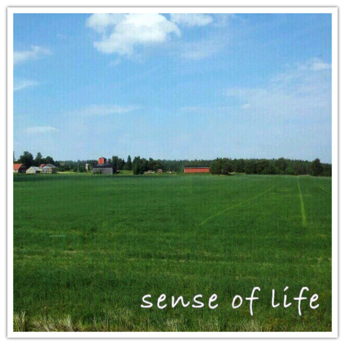 sense of life 1st DEMO | sense of life