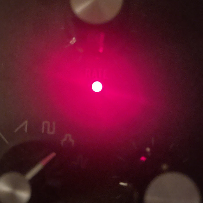 The love of blinking lights | Spectral Bloom