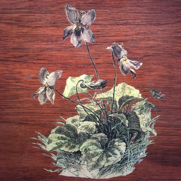 Signs | Sentient Being | sentient being