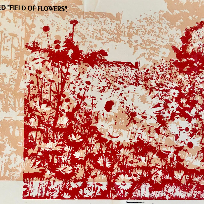 Field of Flowers | Emily Roll