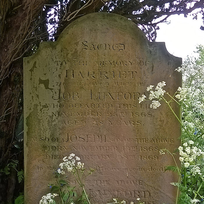 Full Heart, Deaf Ears | Vincent Vocoder Voice