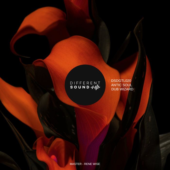 Dub Wizard EP | Antic Soul | DifferentSound