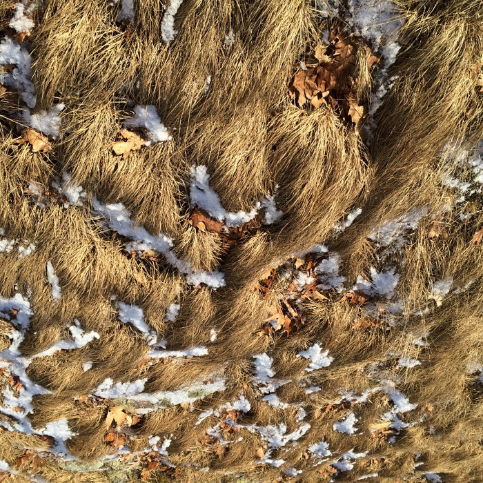 Double Yolk | Dan Gaetani