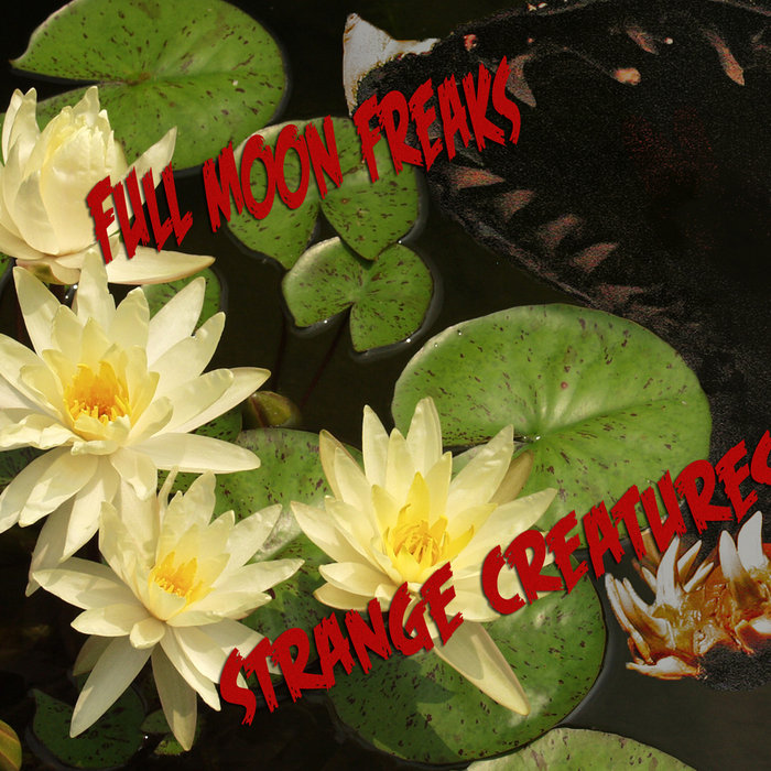 Strange Creatures | Full Moon Freaks