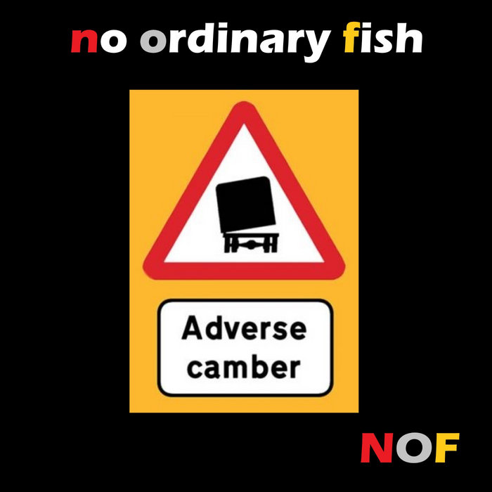 Adverse Camber | no ordinary fish