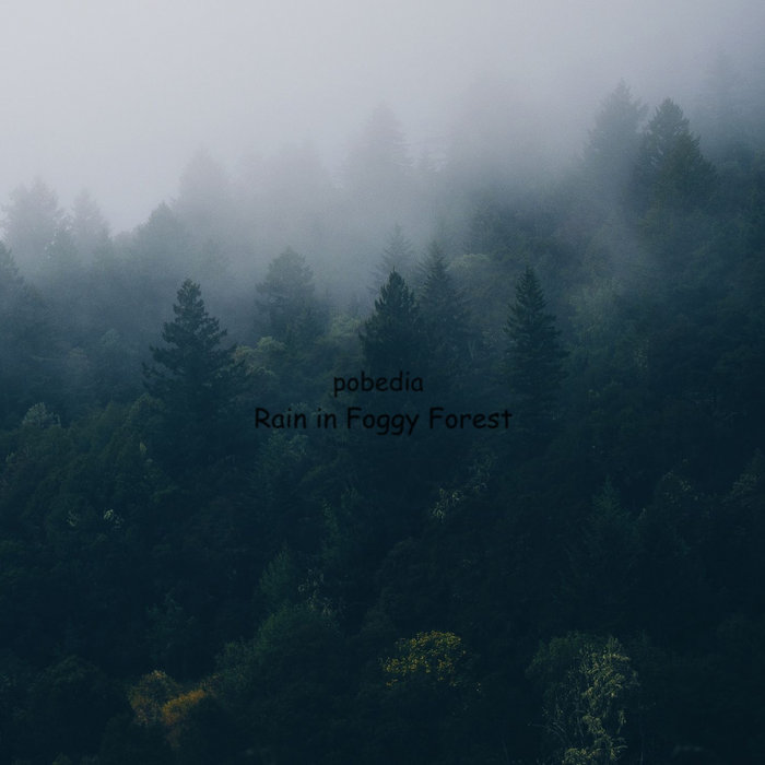 Rain in Foggy Forest | pobedia