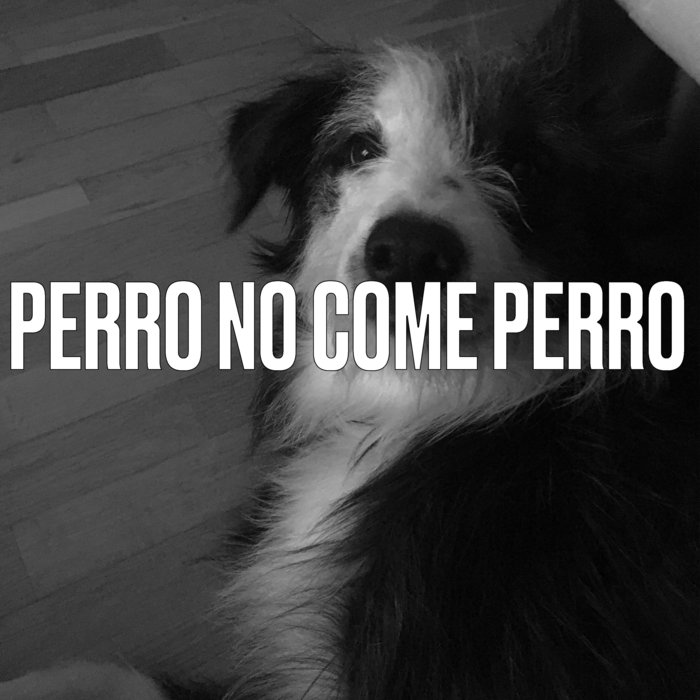 Perro no come perro (Single) | Moisés No Duerme | Raperos de Emaus