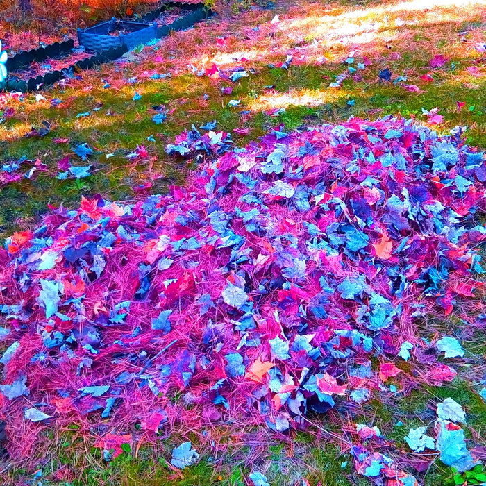 Supa Dope Beat Maker | Karbrac | Schmohawk