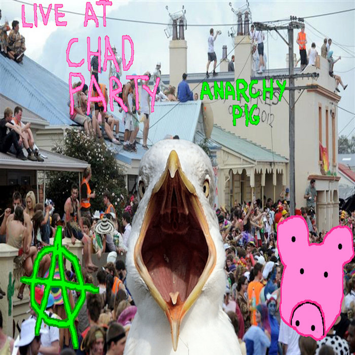 LIVE AT CHAD PARTY | ANARCHY PIG