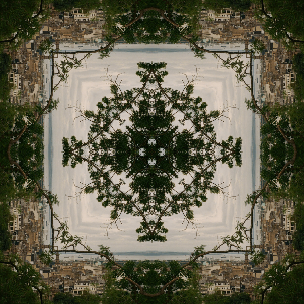 Illusions | Alex Holt