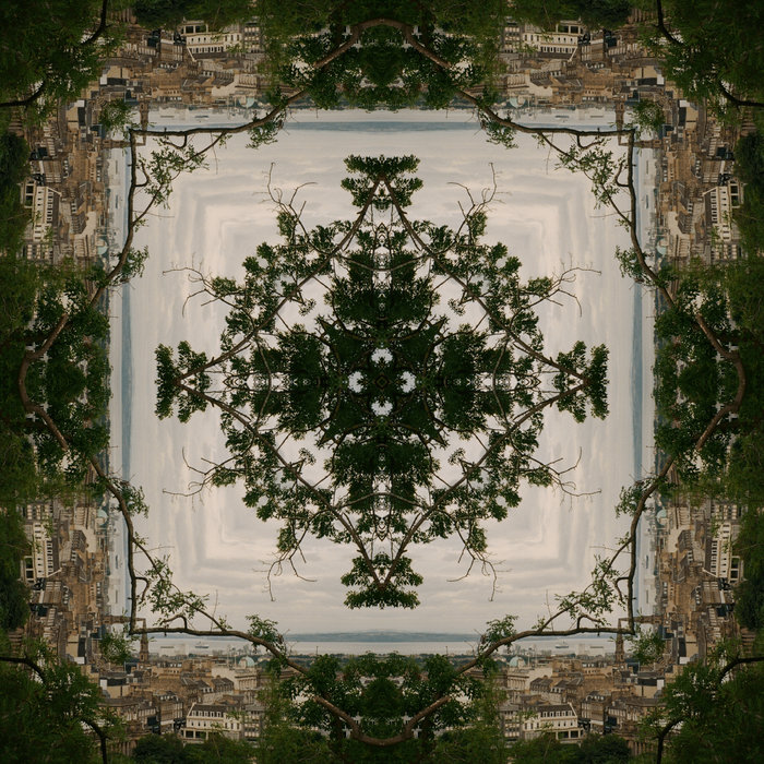 Illusions | Alex Holt