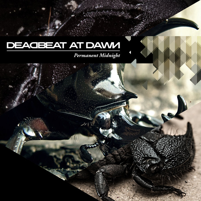Permanent Midnight | Deadbeat at Dawn