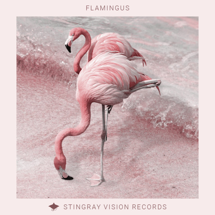 Flamingus - Androgyn EP | Stingray Vision Records