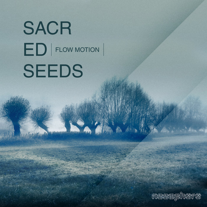 Flow Motion | Sacred Seeds