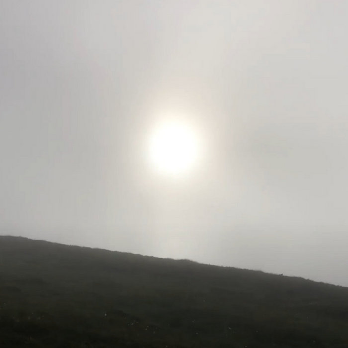 vile love entity | 7463dysphoria