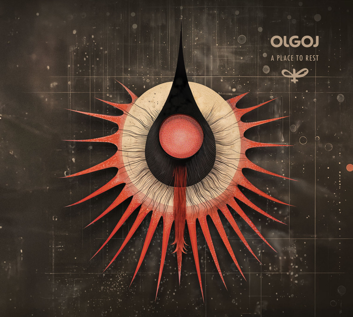 A Place to Rest | Olgoj | Baboon Fish Label