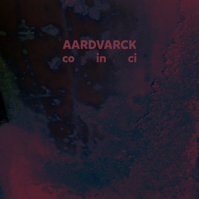 CO IN CI | Aardvarck | Skudge | Skudge Records CO IN CI | Aardvarck | Skudge | Skudge Records