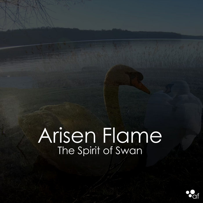 The Spirit of Swan | Arisen Flame