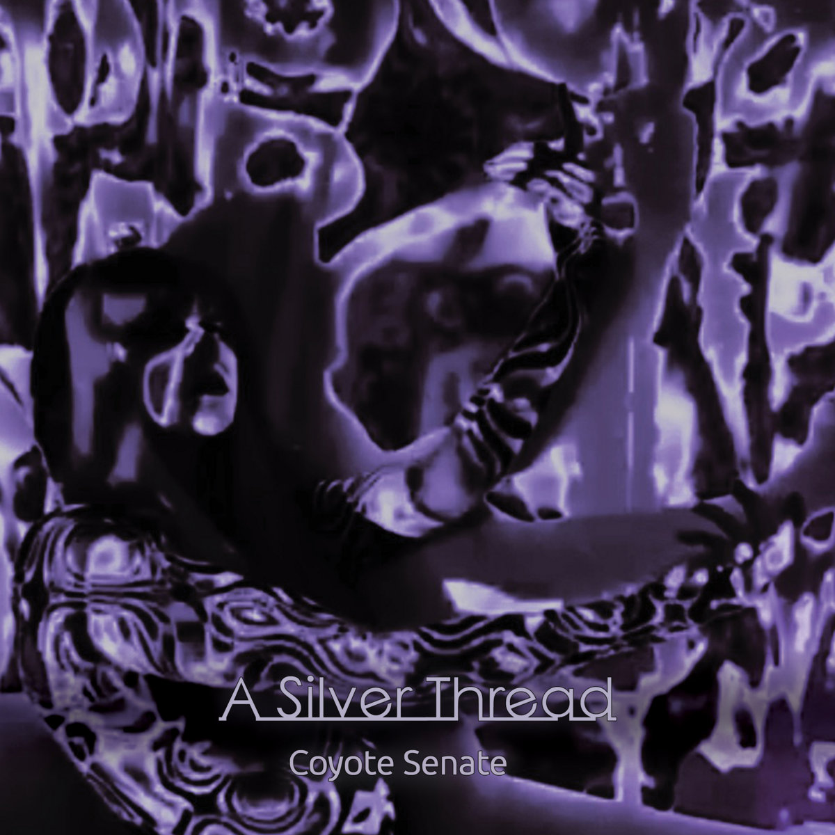 A Silver Thread | Coyote Senate