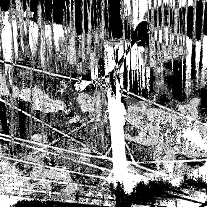 Constant Cycle | inmerty