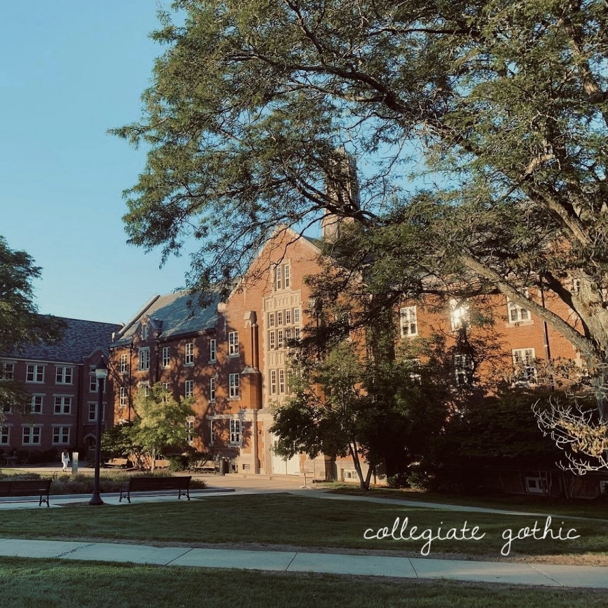 Collegiate Gothic | Safe Harbor