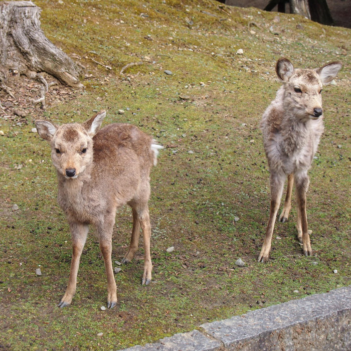 Country Club (Demo - Travis Tritt cover) | Country Club