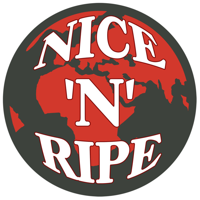 You Took My Lovin (The Nice 'N' Ripe Remixes) | Total Control feat ...