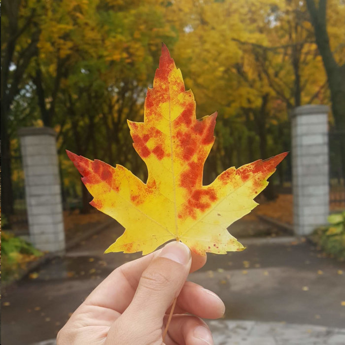 Present Moment Music | Curtis Thorpe & Friends | Curtis Thorpe