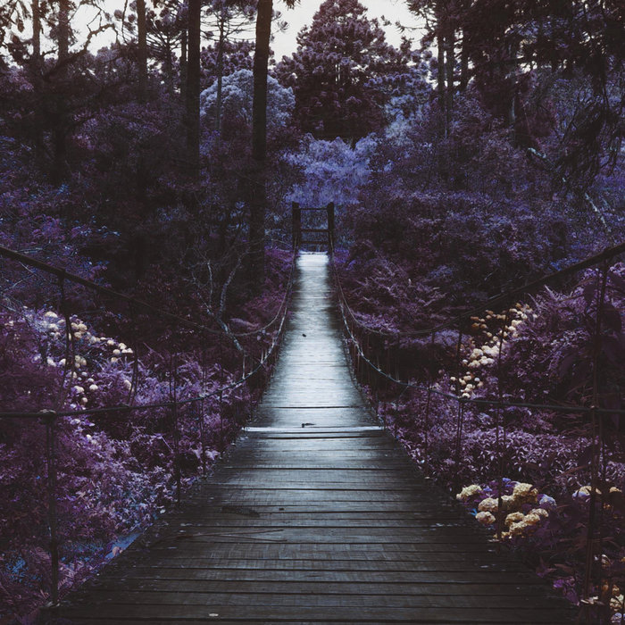 Dungeon Crawl | Slow Drawl