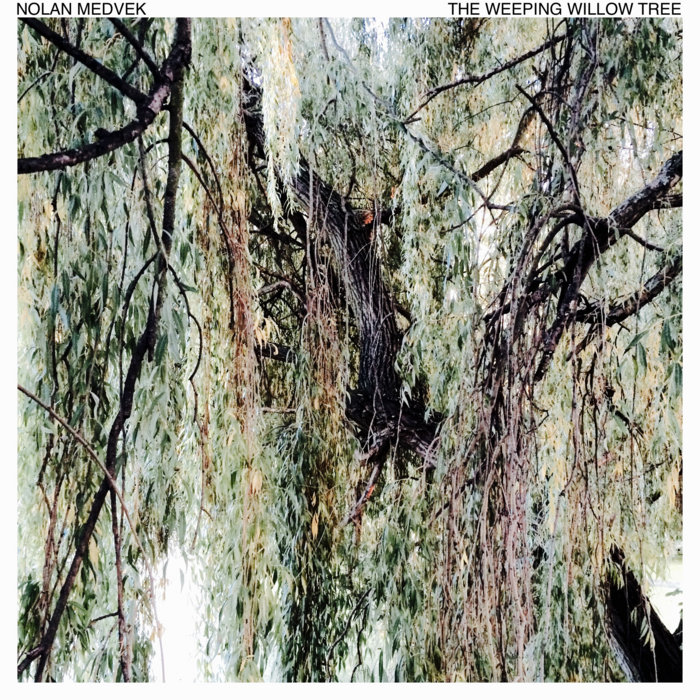 The Weeping Willow Tree | Nolan Medvek