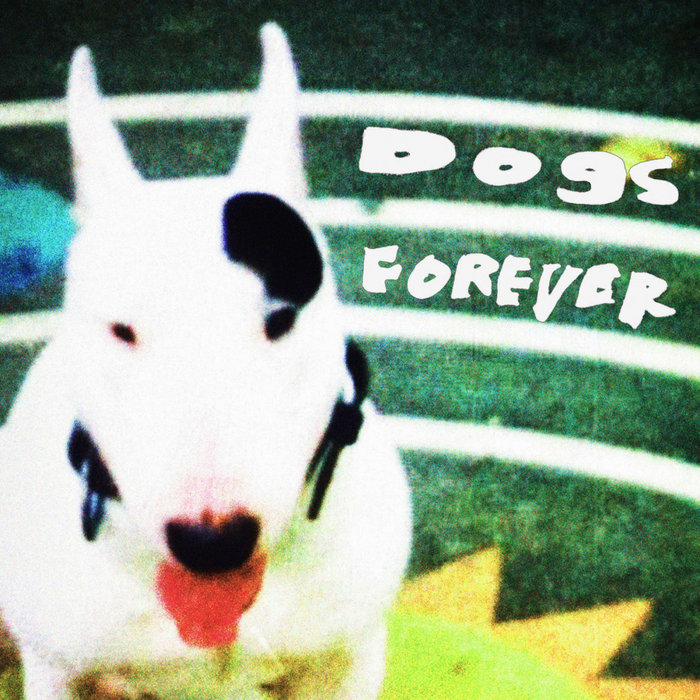 Dogs Forever | Dogs Forever