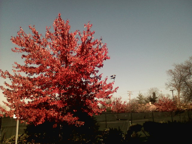 The Golden Summer [Demo] | Seiji