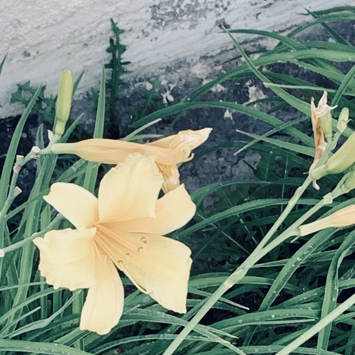 A Gentle Push | Source:RE