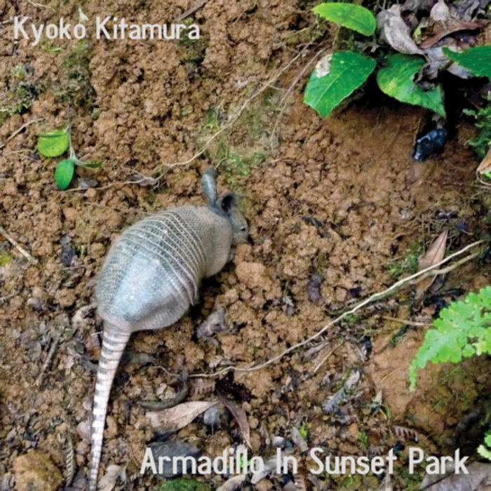 Armadillo In Sunset Park | Kyoko Kitamura