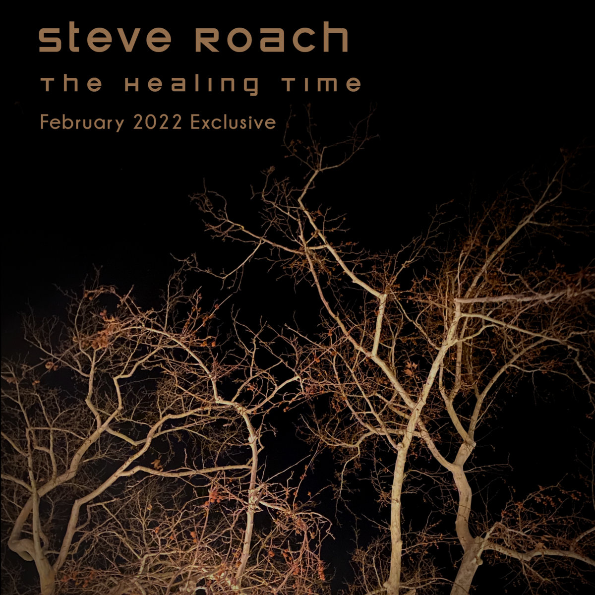 The Healing Time - February Exclusive 2022 | Steve Roach Exclusive