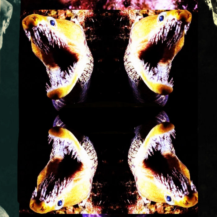 LOOSE EEL BALL OCCUPY THE ACROPOLIS | LOOSE EEL BALL