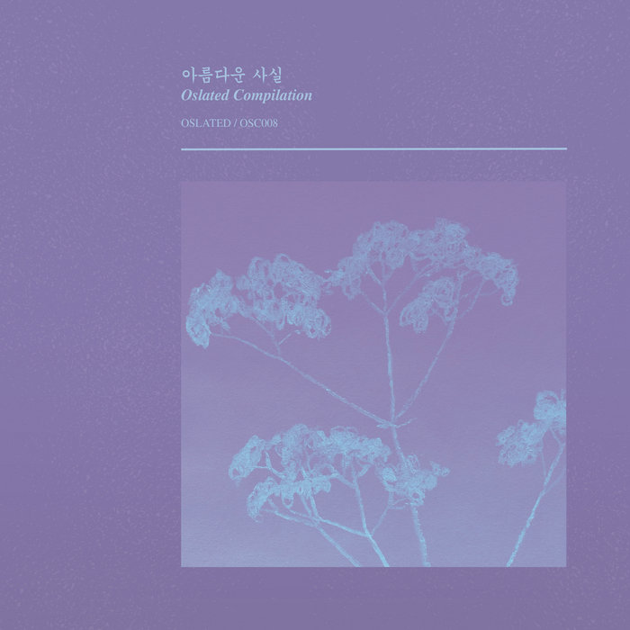 아름다운 사실 Beautiful Facts Osc008 Various Artists Oslated