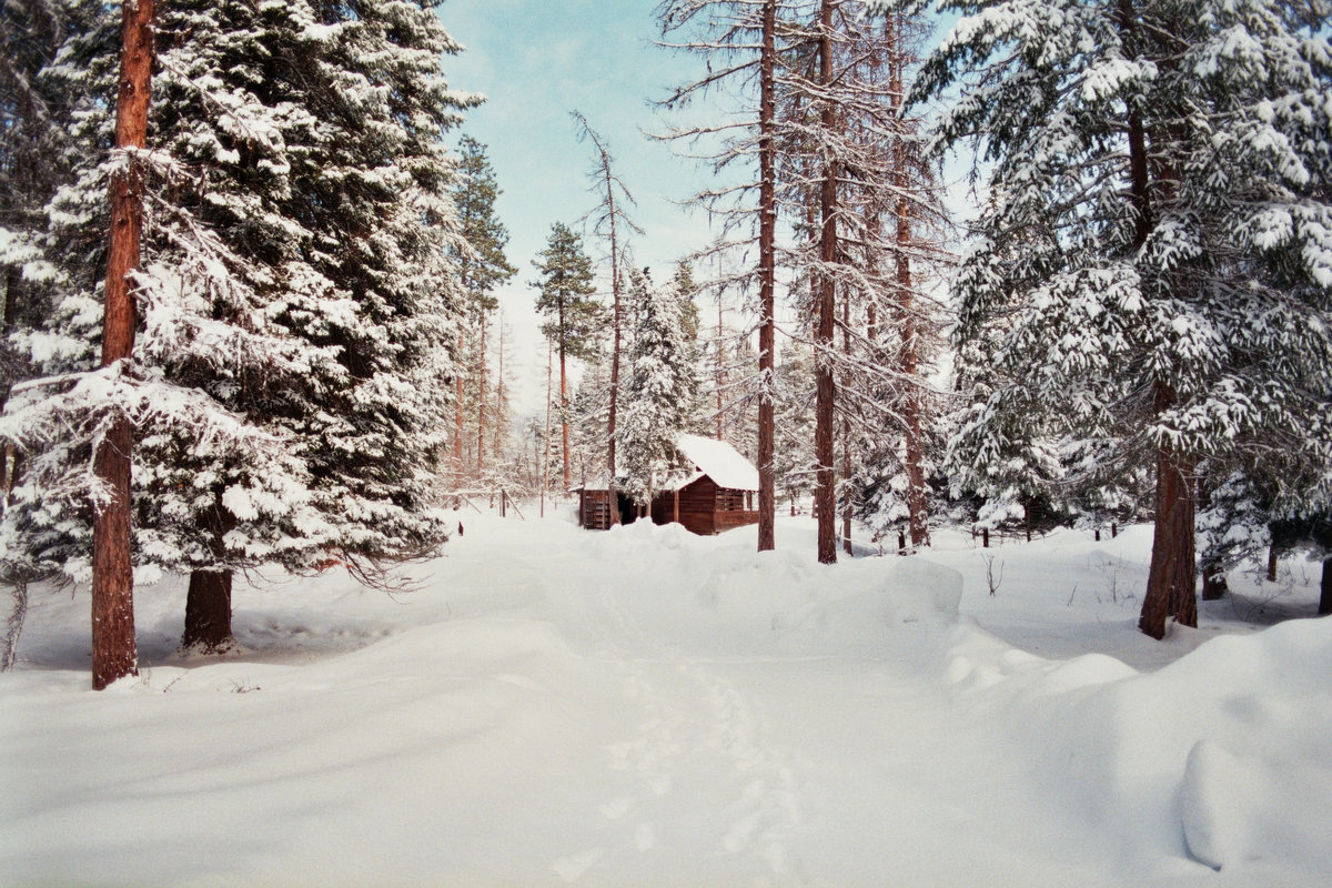 Dreams of Being | Jay Fiske